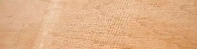 Laurel Oak